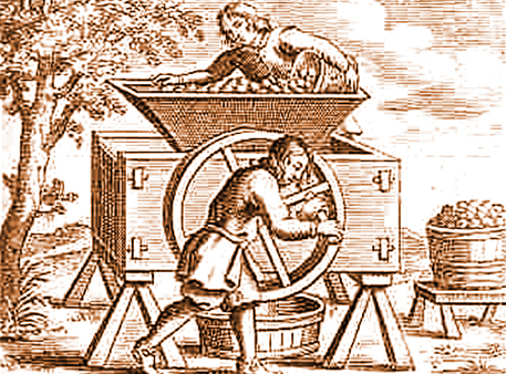 The Interesting History of Cider | The Daily Fruit Wine